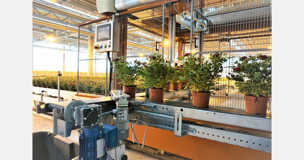 Completely automated potting system at Pligt Professionals