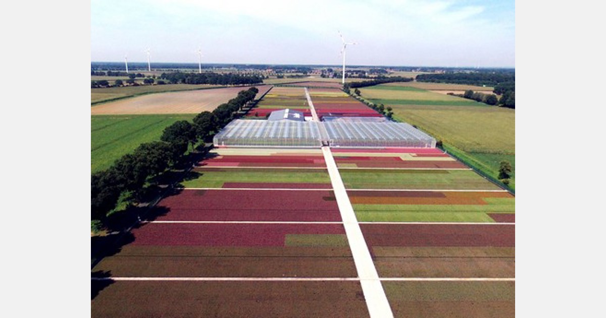 German grower becomes a member of Decorum