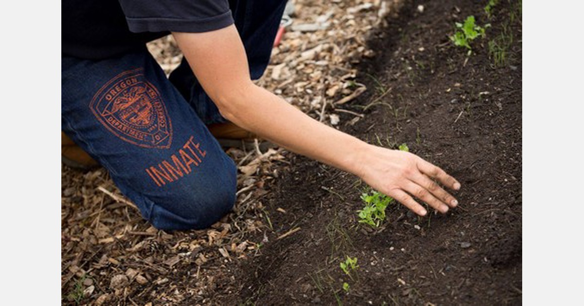 Combating prison recidivism with plants