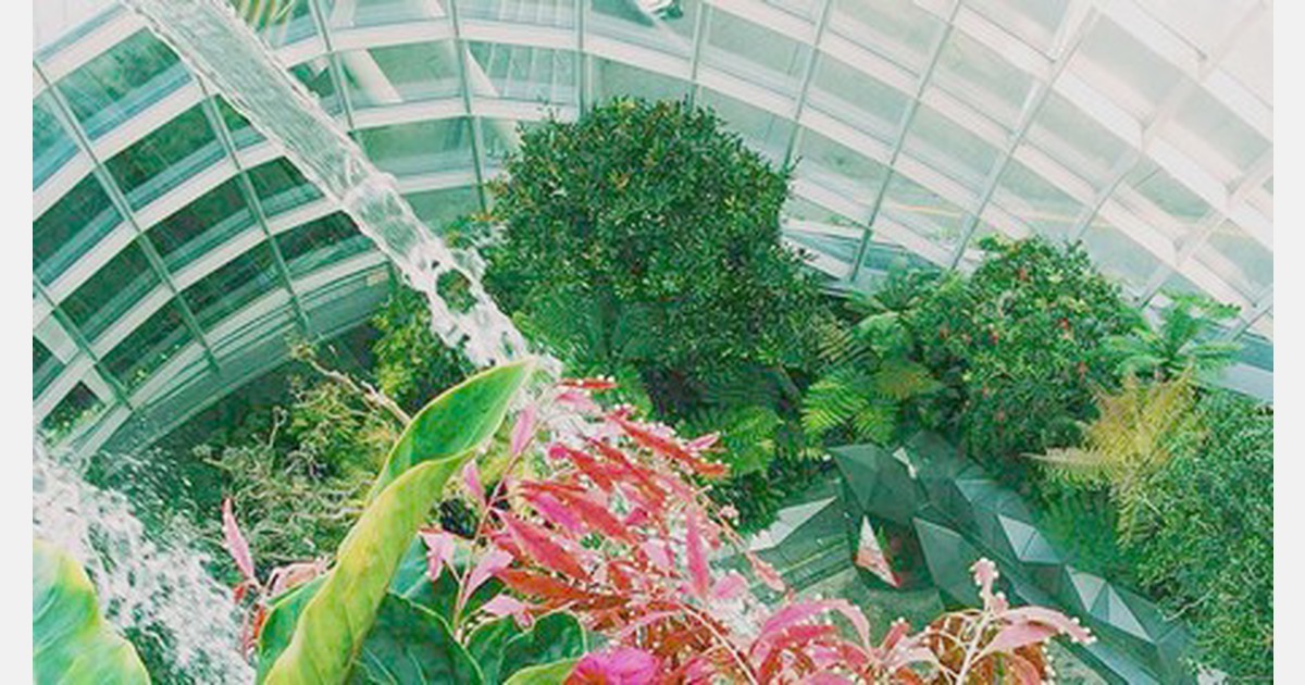 CO2 GRO begins first commercial floriculture demonstration in Canada