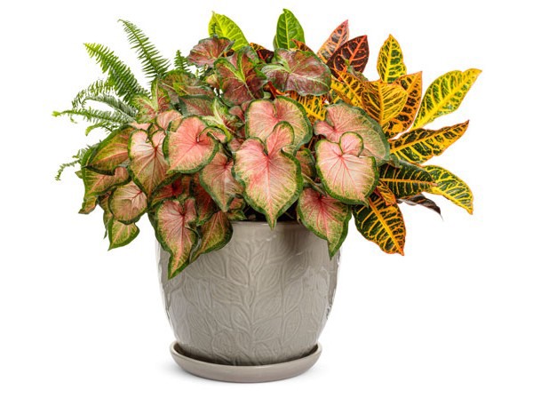 Getting creative with combinations