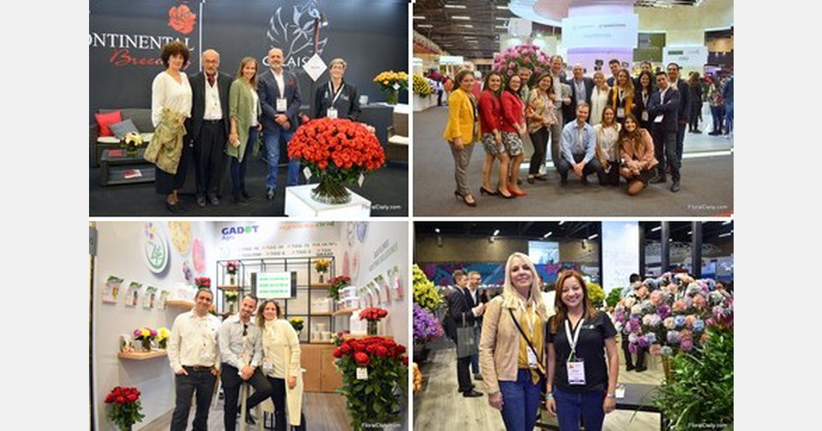 Elite Flower Services Inc Miami Fl | Best Flower Site