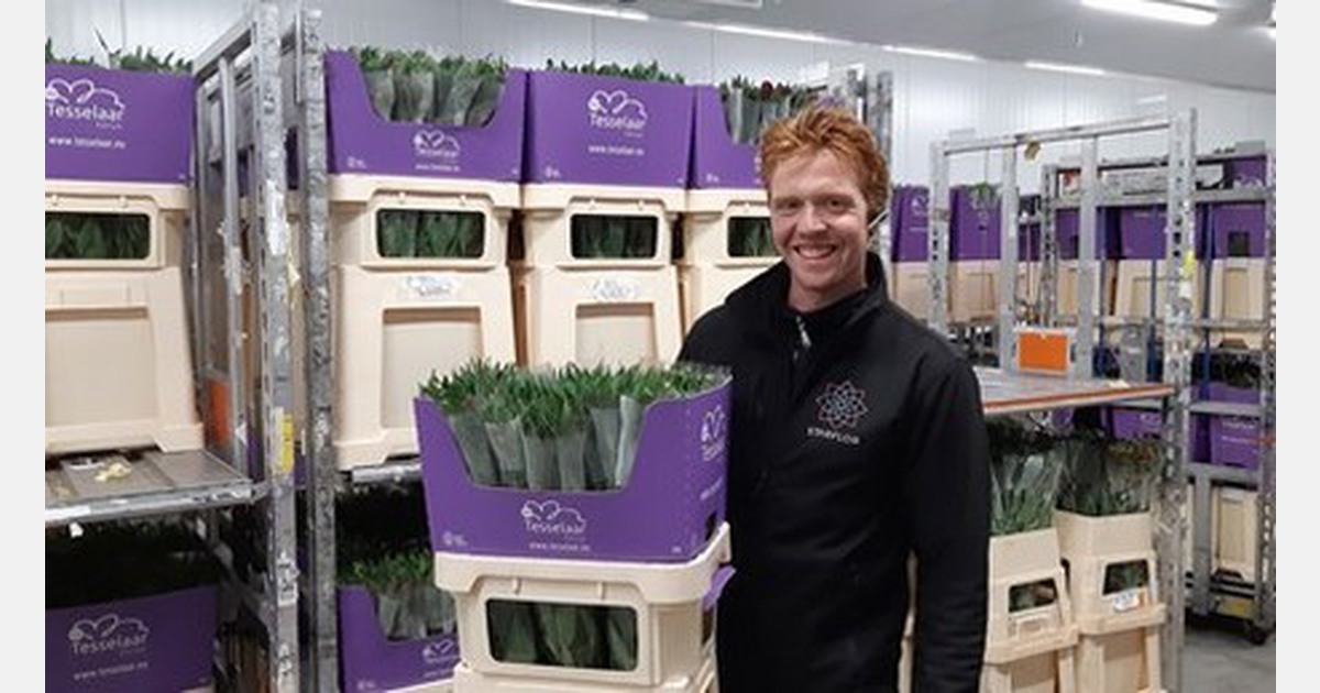 "New top collars save up to 60% of cardboard"