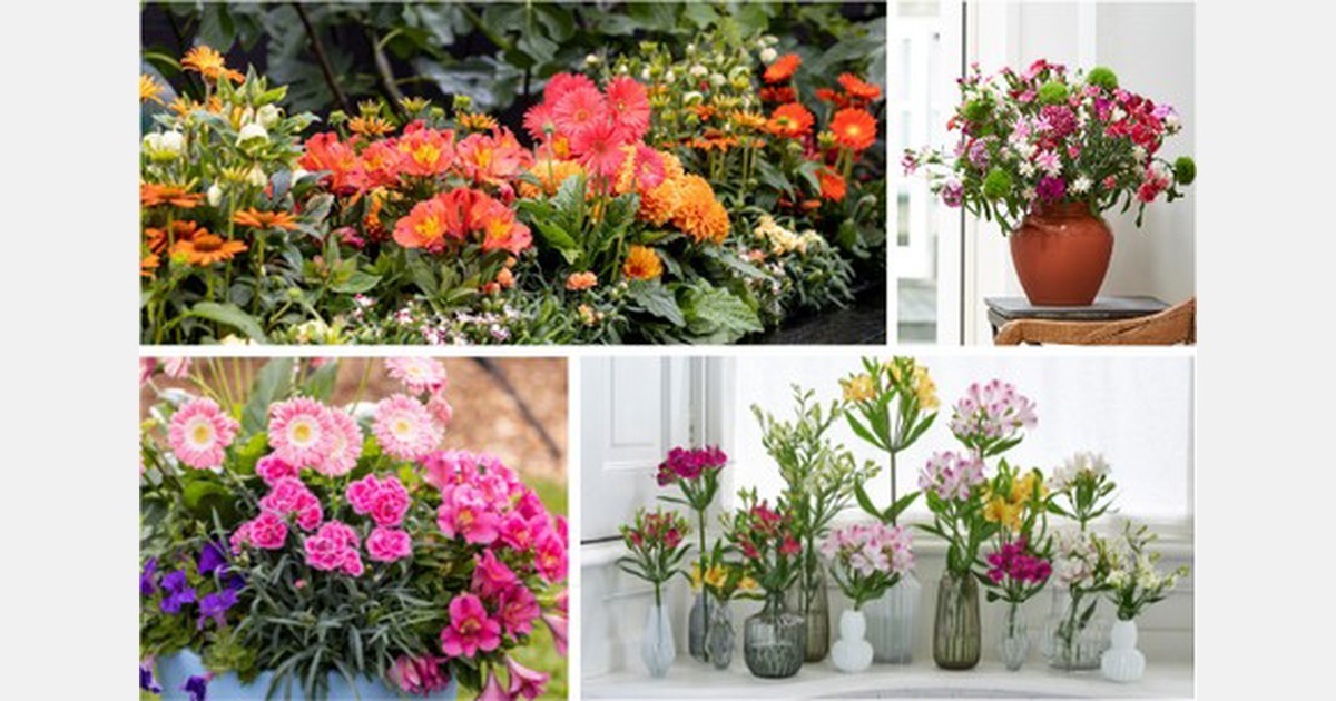 UK: HilverdaFlorist organizes exclusive Floral MasterClass