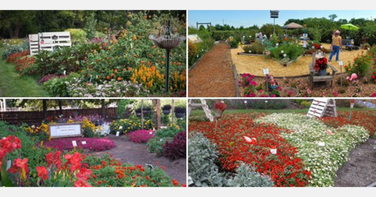 Winners announced of AAS Display Garden Landscape Design Challenge