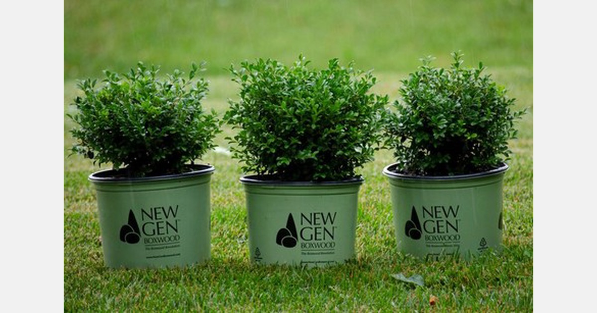 Looking back at the first year of NewGen