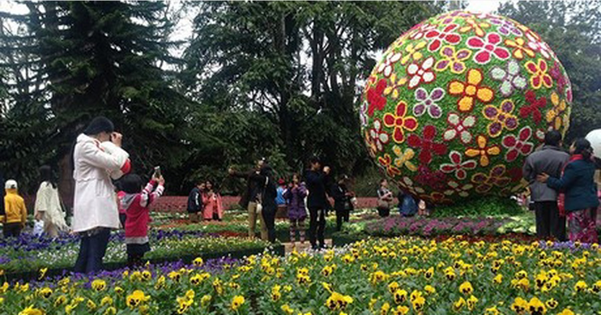 Myanmar: Pyin Oo Lwin festival to feature flowers from three European ...