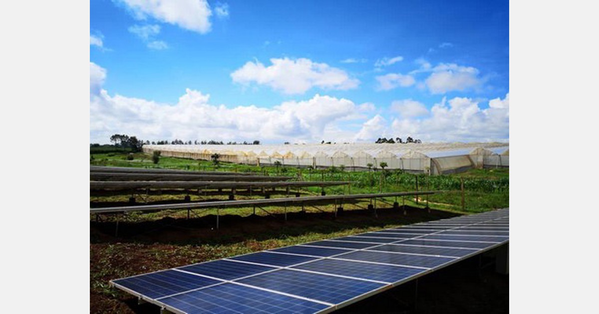 Kenyan rose grower inaugurates solar power plant