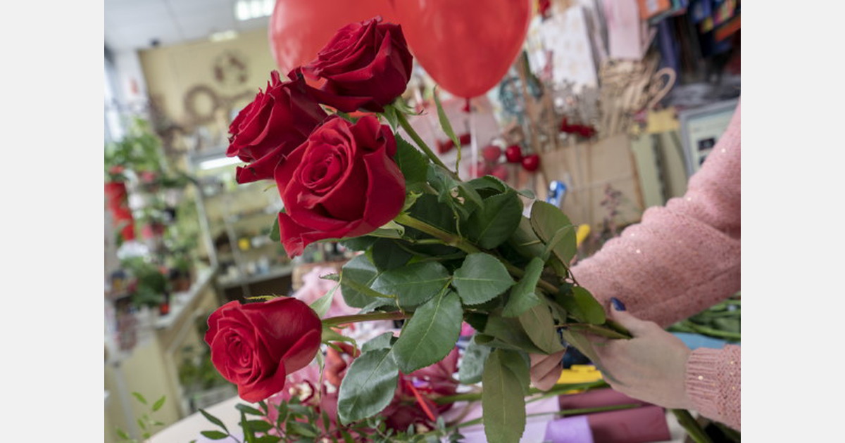 How the world’s biggest flower companies prepare for Valentine’s Day