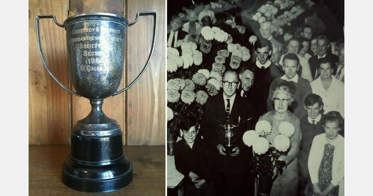 UK: Flower trophy returns after 50 years