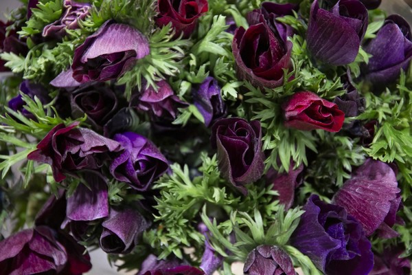 UK: The hottest floral trends for 2020