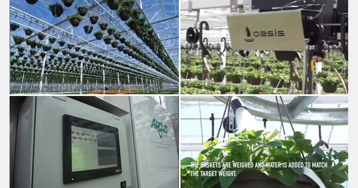 "This irrigation system saves labor and water"