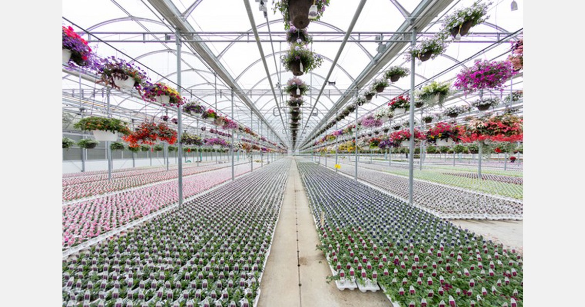 Are you ready to grow in 2020?