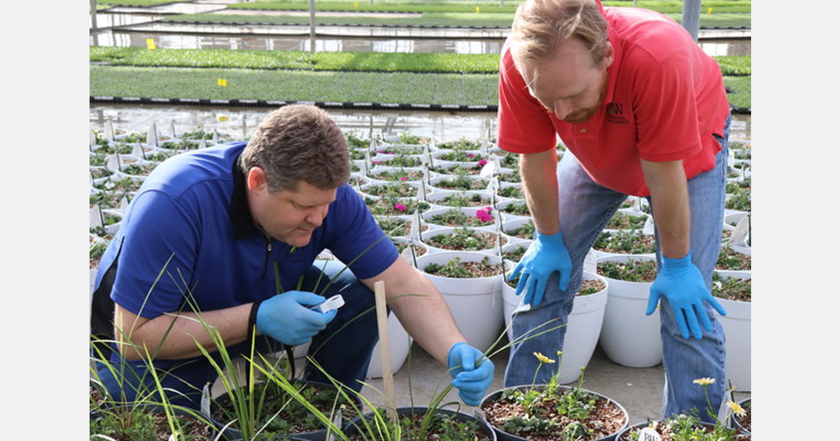 How teamwork improves pest management