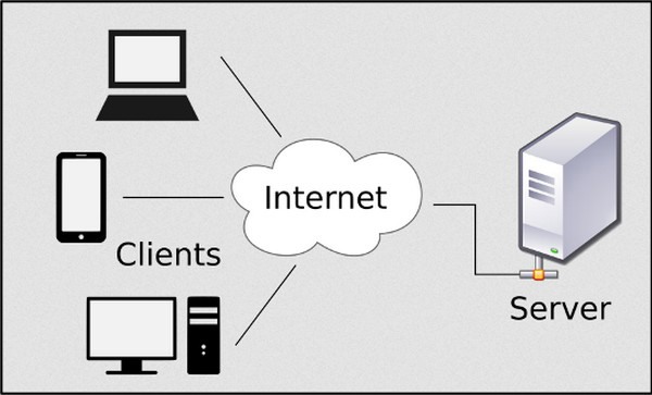 Smart sensor for measuring plant nitrogen status of floriculture crops
