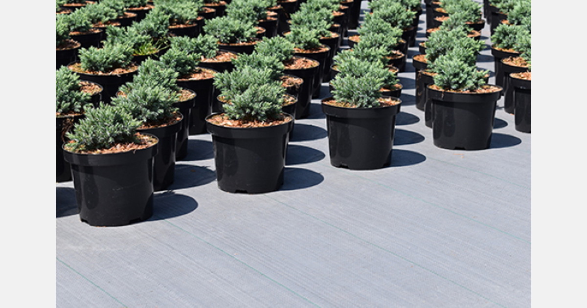 "The grey ground cover remains significantly cooler when exposed to ...