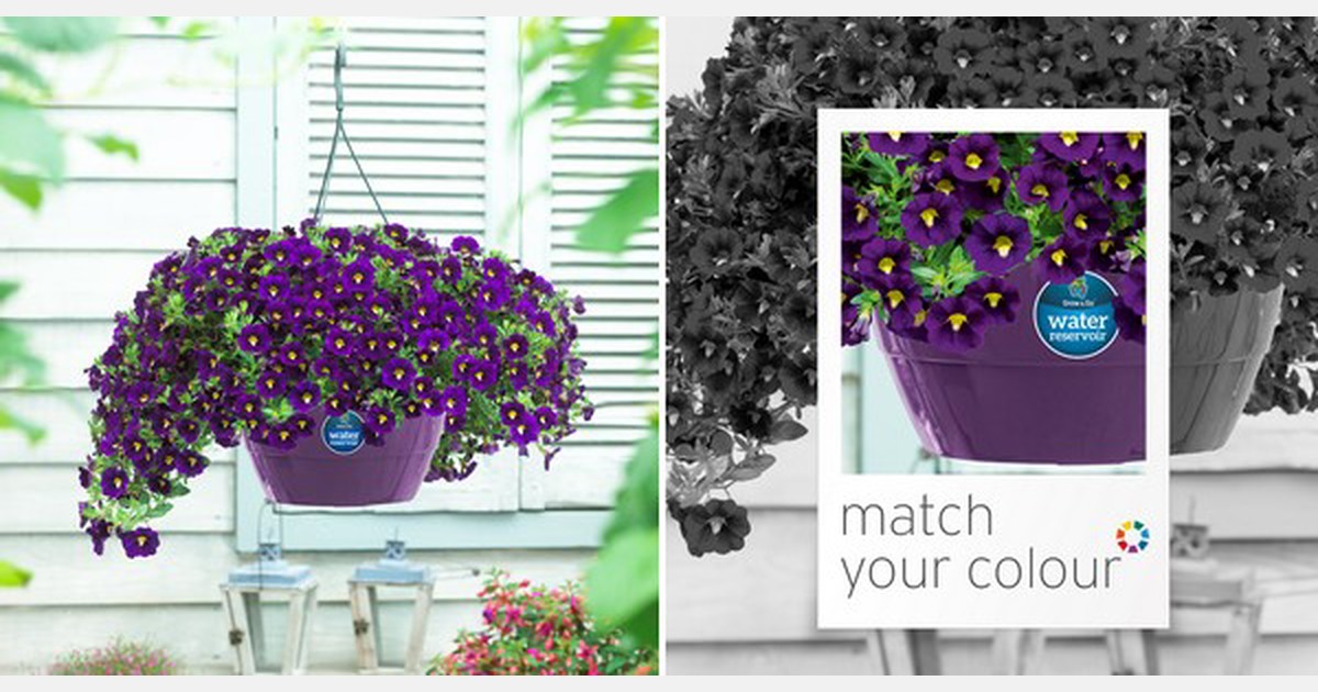 "Consumer can go on holiday without any worries with Grow & Go pot"