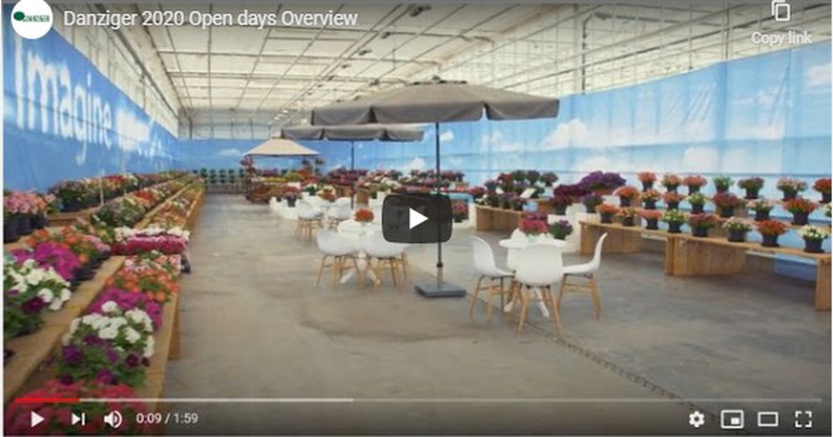 Danziger Open House event in the Netherlands in review