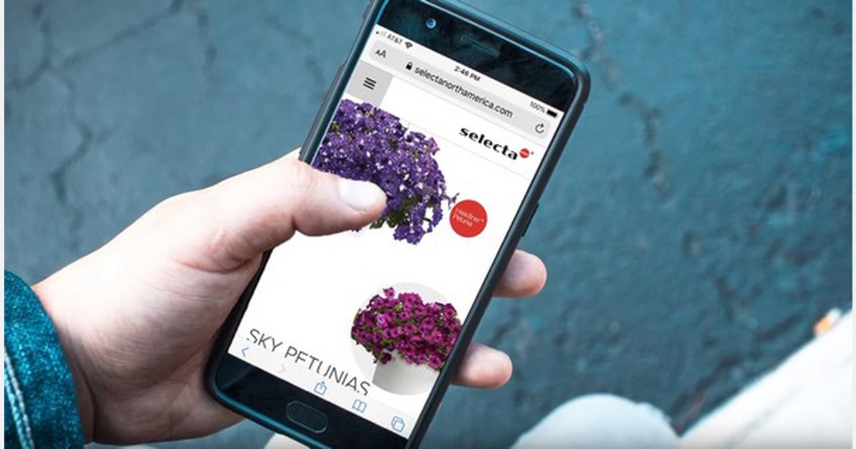 Selecta One launches redesigned website for North America