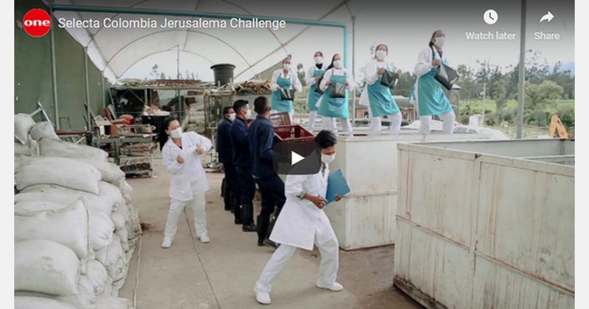 The challenge continues spreading happiness within the Selecta one Group