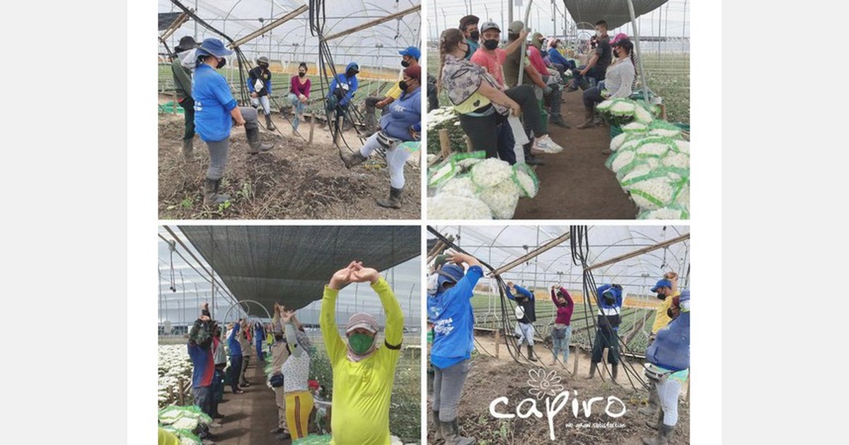 FLORES EL CAPIRO S.A