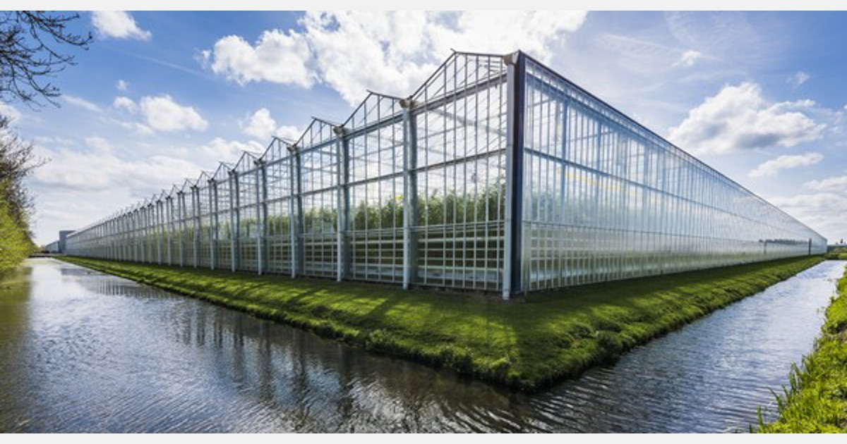 Why location and orientation of your greenhouse matter