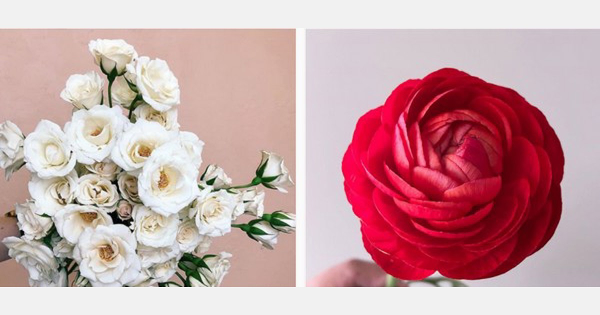 Fairtrade chats: Tyler Paterson, director of Cut Flower Operations