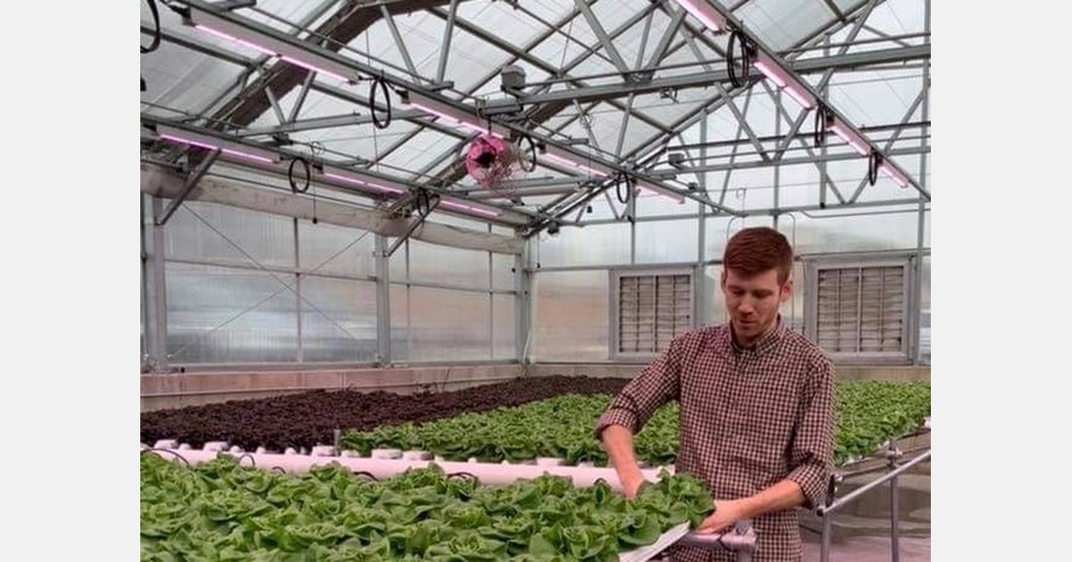 Joshua Craver joins VIc & Margaret Ball committee