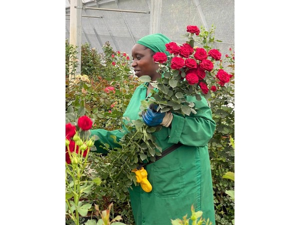 10th Anniversary of Interplant Roses East-Africa