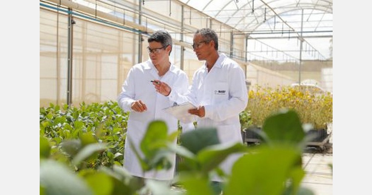 US (NC): BASF introduces new broad-spectrum fungicide for the ...