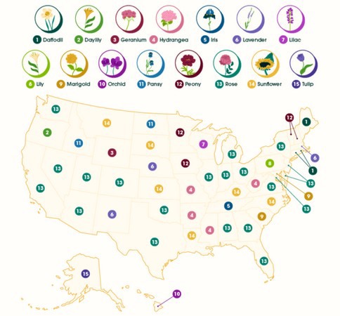 US: Survey reveals the most popular flowers grown in each state