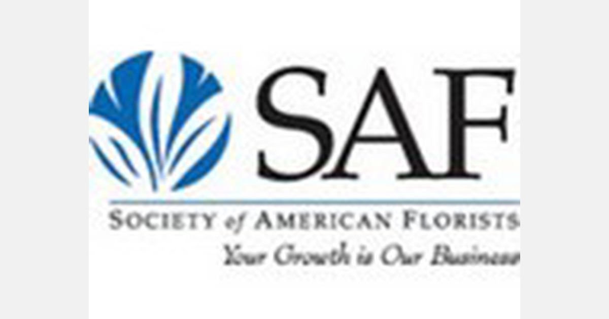 SAF launches Career Connection learning hub with 5 new courses