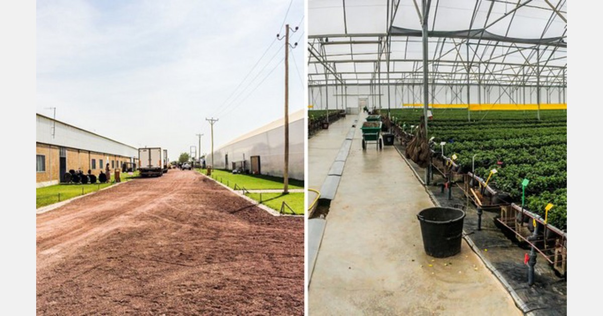 Florensis expands in Ethiopia