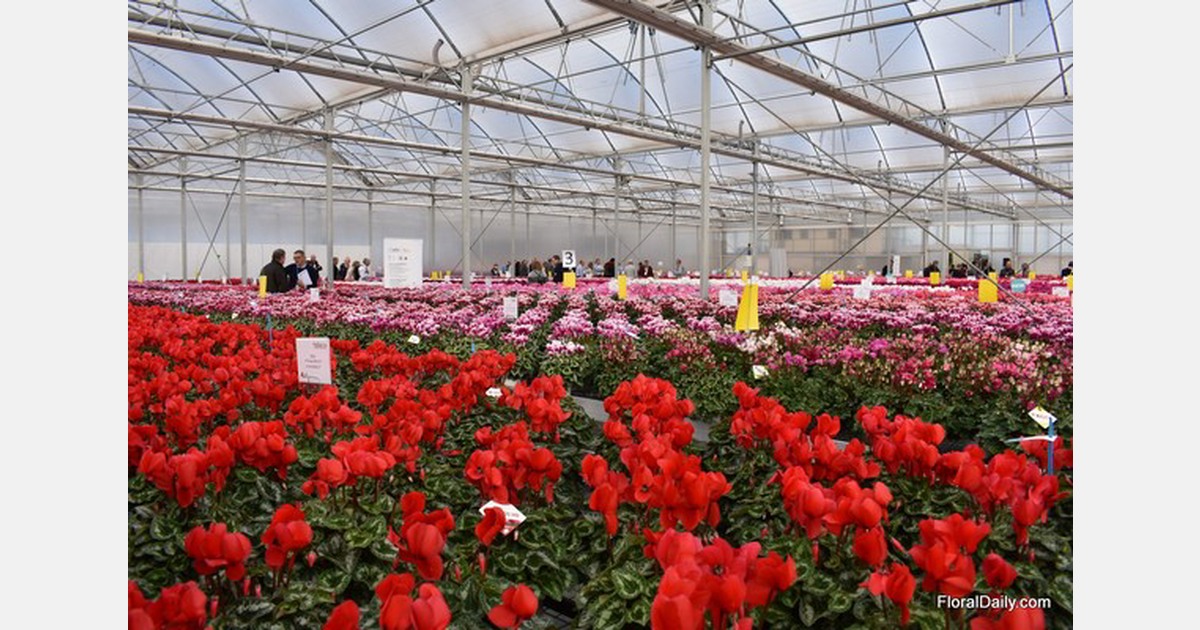 Evaluation of the microclimate in a traditional Colombian greenhouse ...