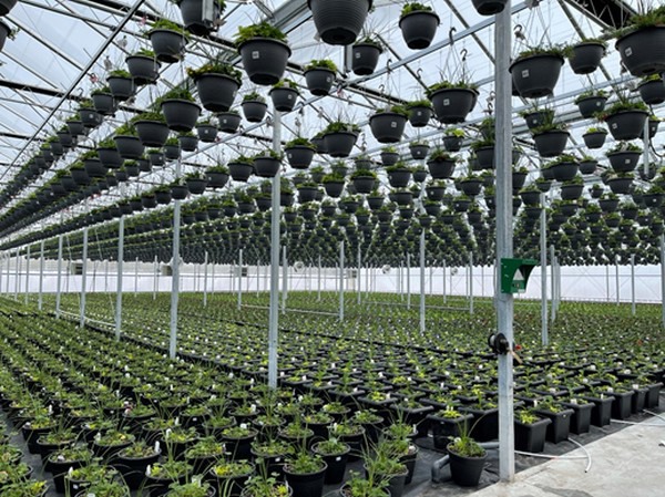 Metazet FormFlex North America, continuing to help growers with ...