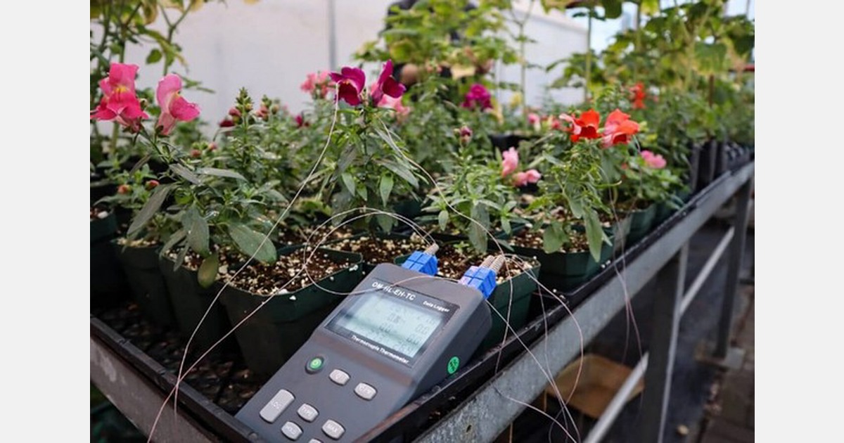 Understanding how temperatures within plants affect their growth