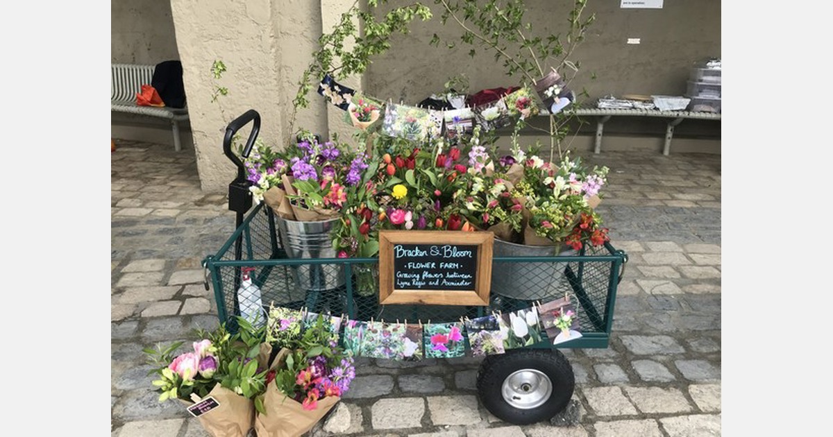 "Our first year running a small-scale flower farm in a remote rural ...