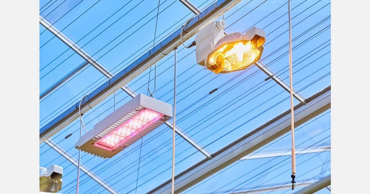 Special Lightning and Technique this month