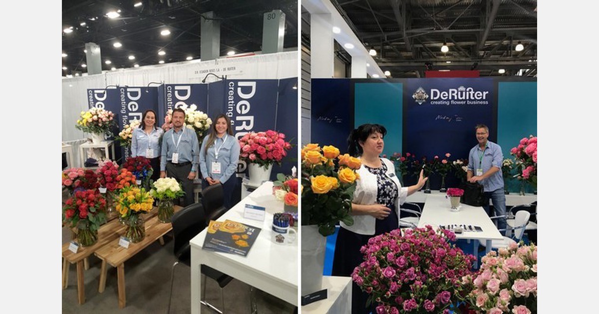 Roses boom in both Western and Eastern hemispheres