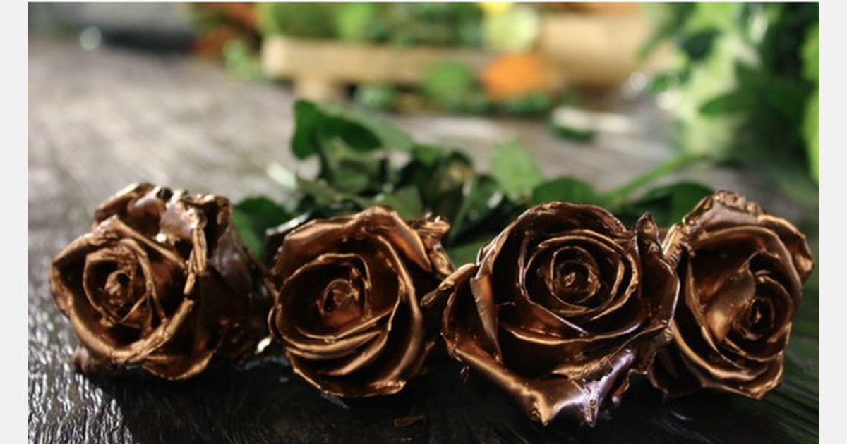 Wax roses: enjoying the flowers longer