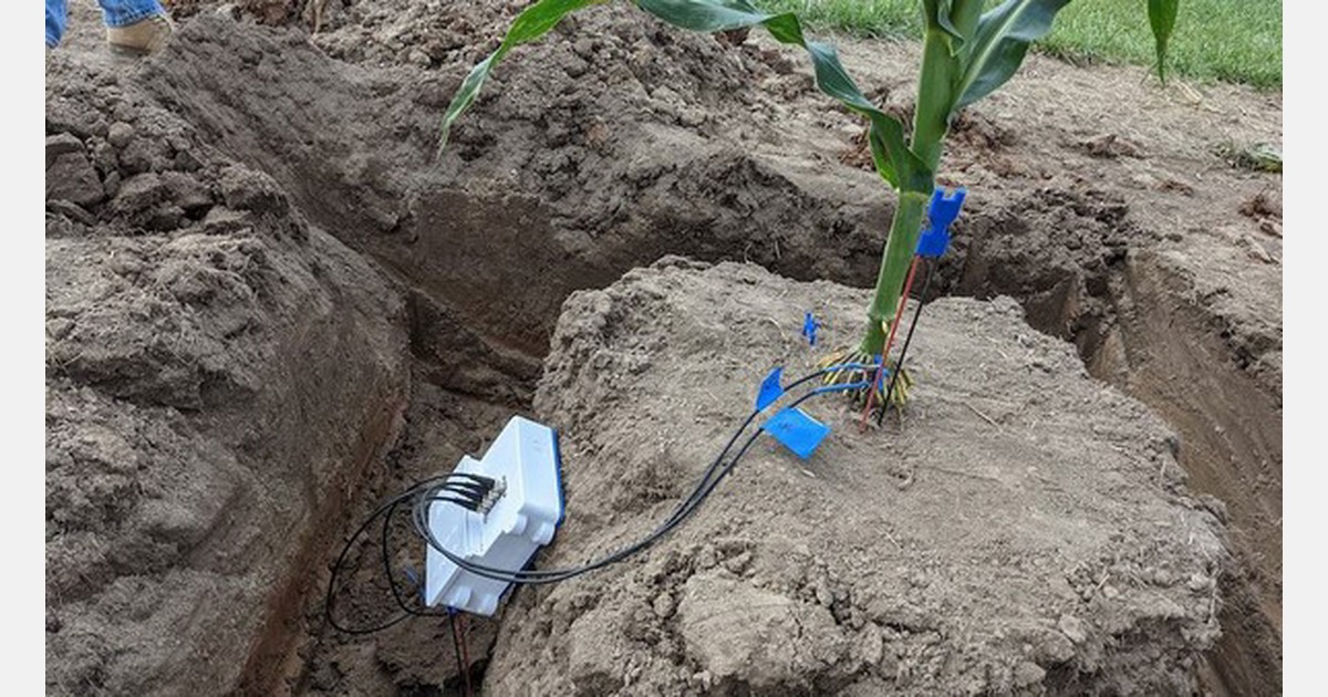 New technology sees underground to assess crop roots