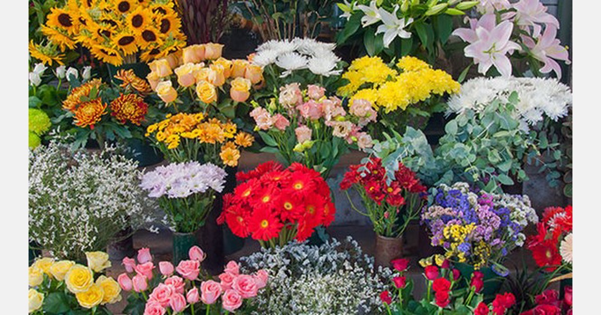 A mixed bouquet of developments in floriculture: world floriculture map ...