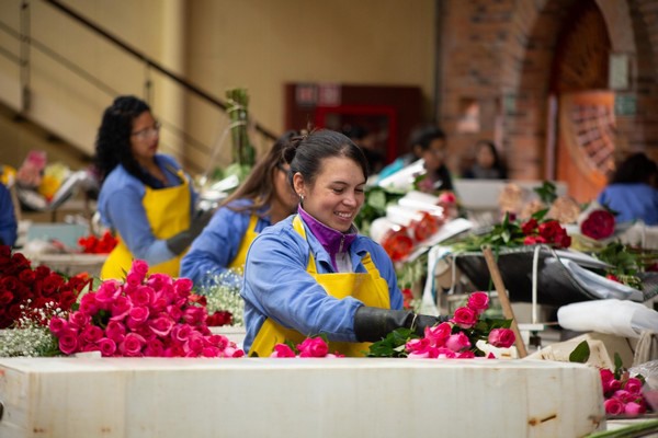 Colombia flower growers generate approximately 20,000 additional jobs ...