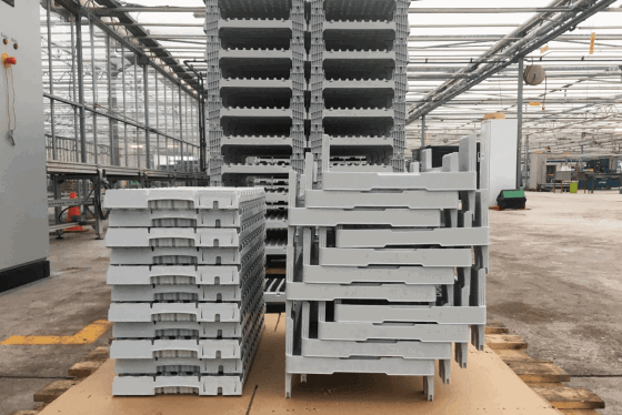 Optimizing young plants production and distribution through dynamic trays