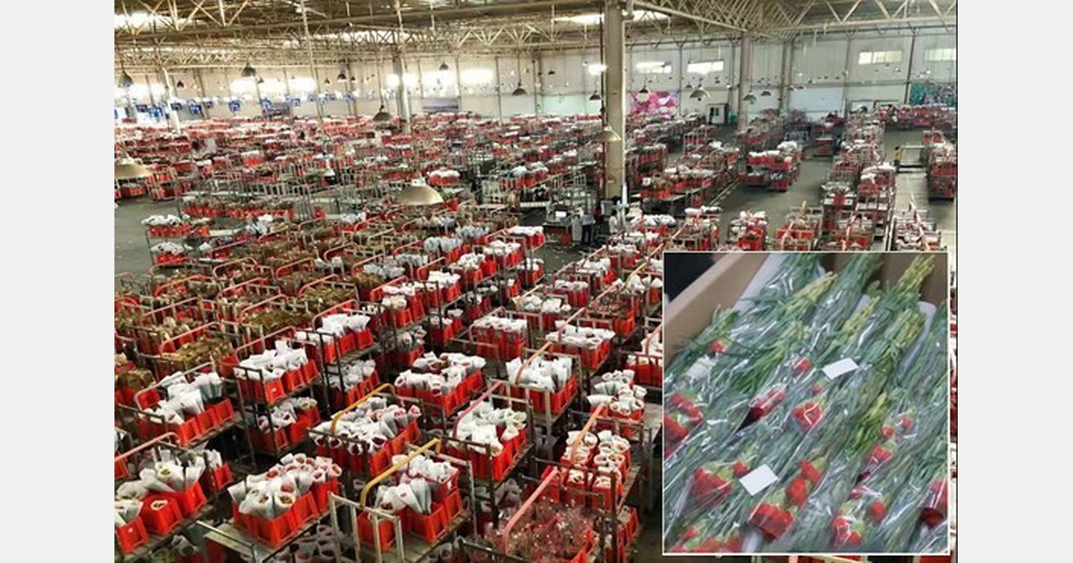 Fresh-keeping cards preserve flowers during storage, transport