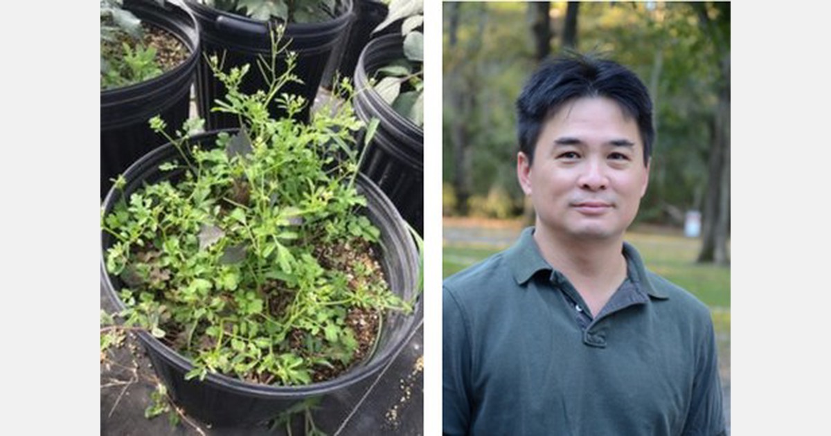 Answering some of your questions on insecticide rotation