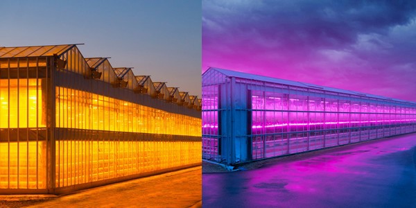 Signify opens factory in China