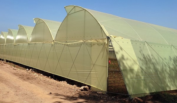 Kenya: Solai Roses expands to 40 ha