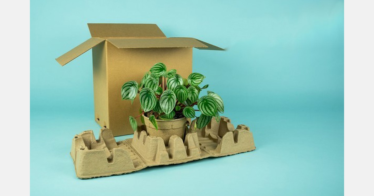 plant packaging ideas