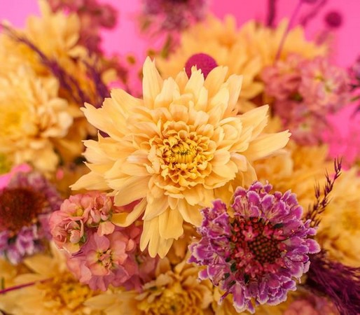Introducing Kalimba: a new orange chrysanthemum